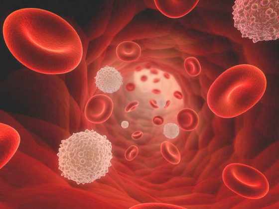 High White Blood Cell Count: Causes, types, and Other - News Nit